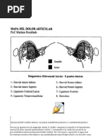 Dr. Mariano Rocabado - Nivel FOC, Fundamentos de la Terapia Manual ...