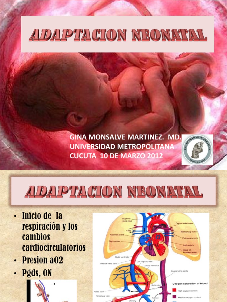 Adaptacion Neonatal | PDF