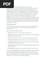 Elaboración de Ganchos Adams en Ortodoncia | PDF | Ortodoncia | Naturaleza