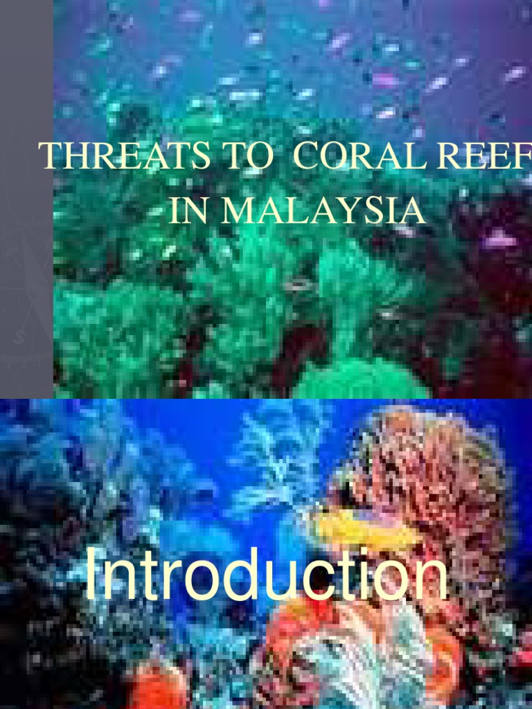 Threats to coral reefs.ppt | Coral Reef | Coral | Free 30-day Trial | Scribd