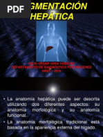 Irrigación e Inervación Del Hígado | PDF