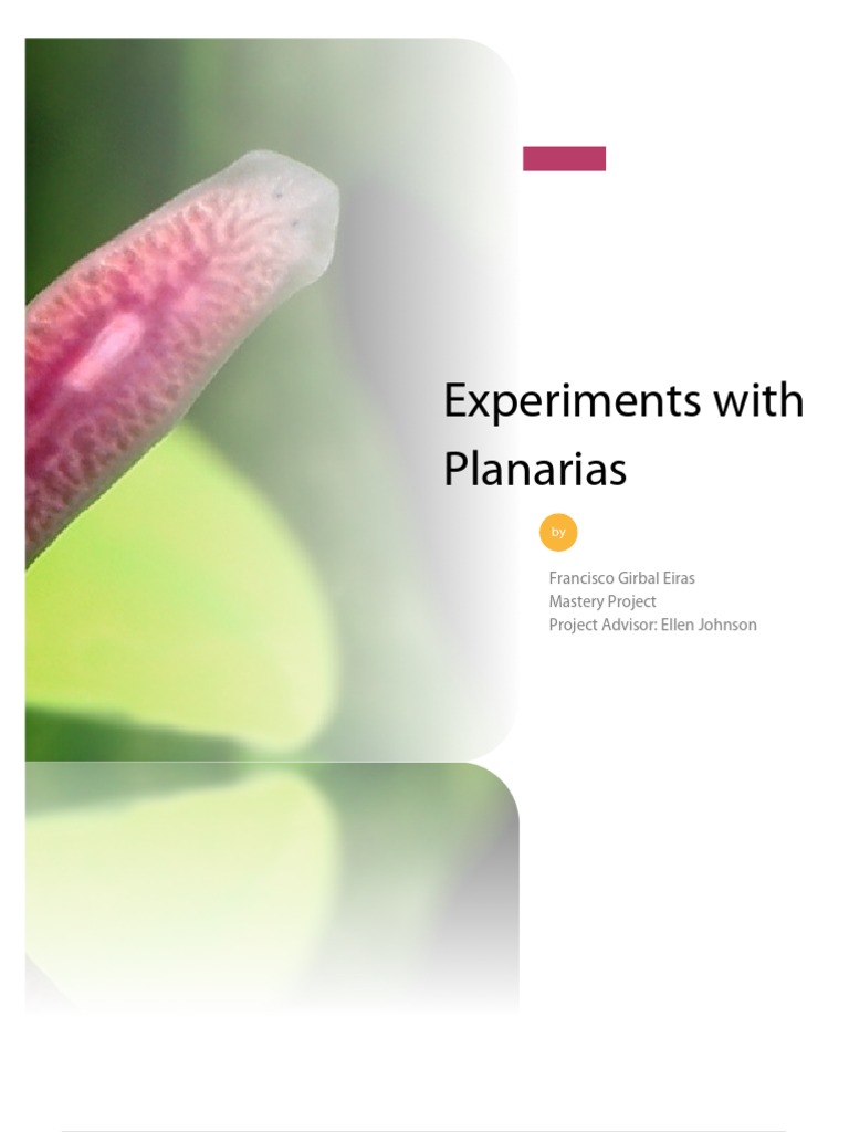 Experiments With Planaria PDF | PDF | Cell Signaling | Signal Transduction