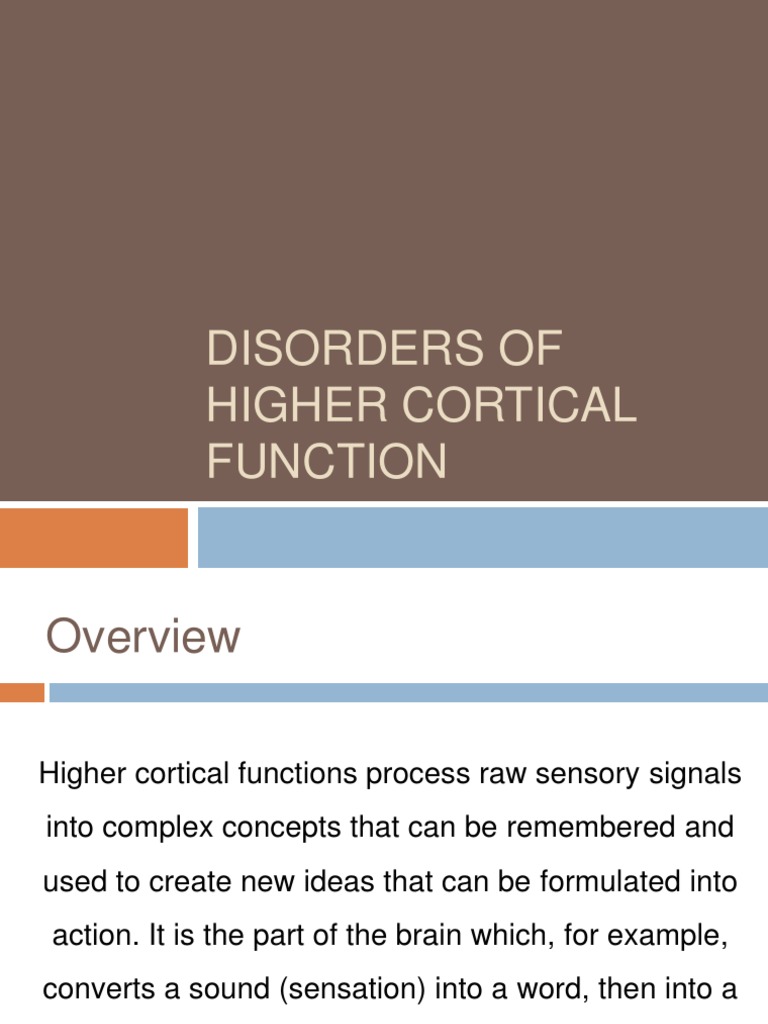 Disorder of Higher Cortical Function | PDF | Parietal Lobe | Cerebral ...