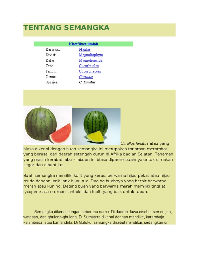 Tentang Semangka | PDF
