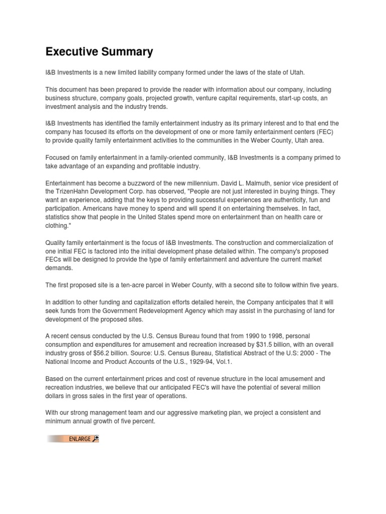 Executive Summary | PDF | Business Plan | Strategic Management