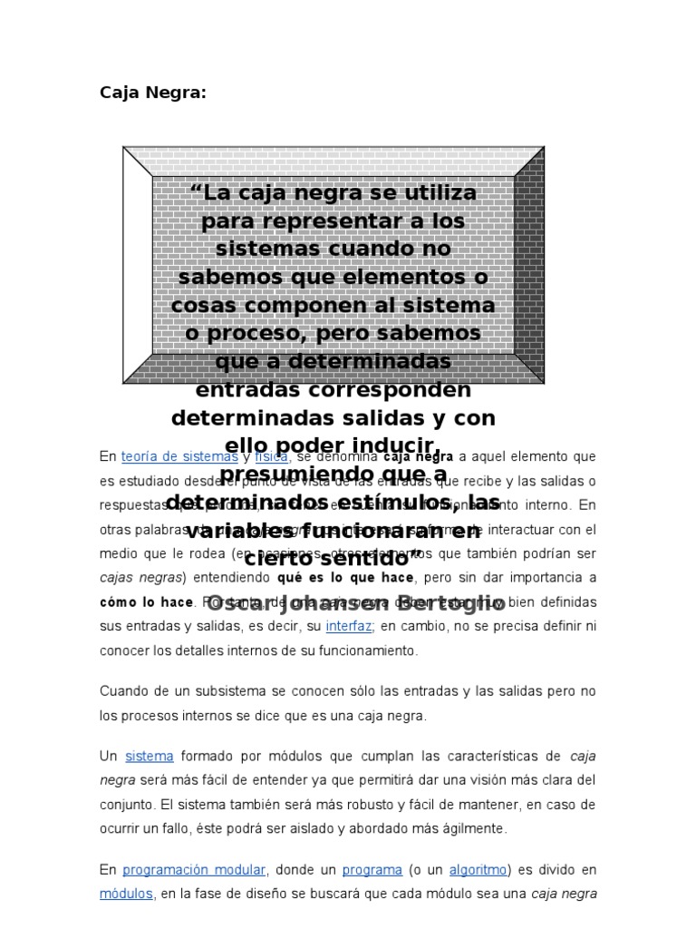 Caja Negra | PDF