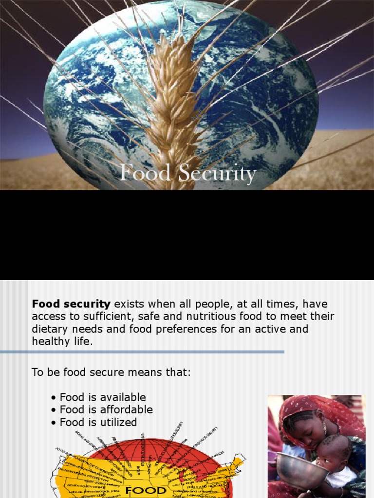 Food Security PPT 21-30 | PDF | Food Security | Food And Agriculture ...