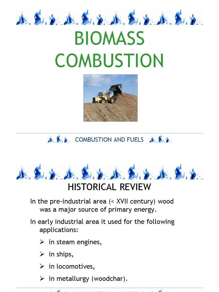 Biomass Combustion | PDF | Gasification | Combustion