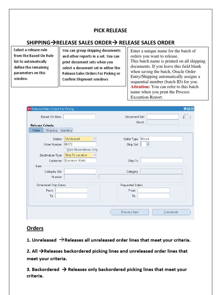 Pick Release To Ship Confirm | PDF | Information Technology Management | Computer Programming