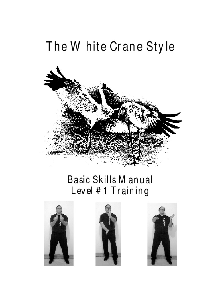 The White Crane Style: Basic Skills Manual Level #1 Training | PDF ...
