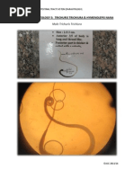 Stool Routine Examination | PDF | Human Feces | Clinical Medicine