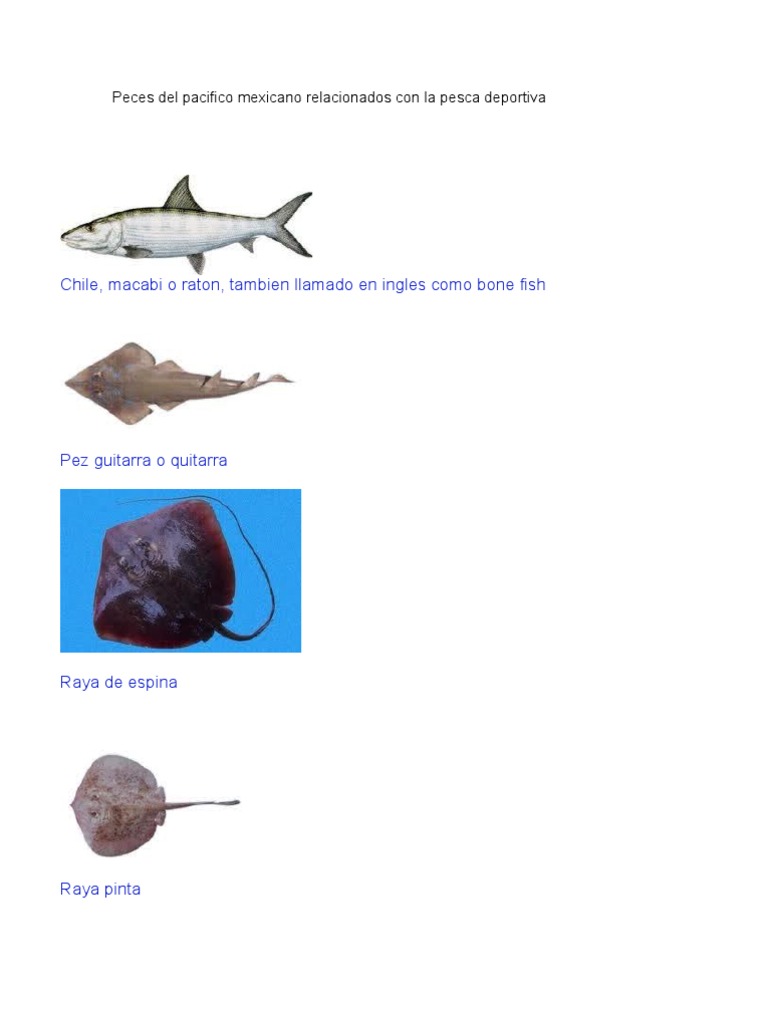 Peces del Pacífico para Pesca Deportiva | PDF
