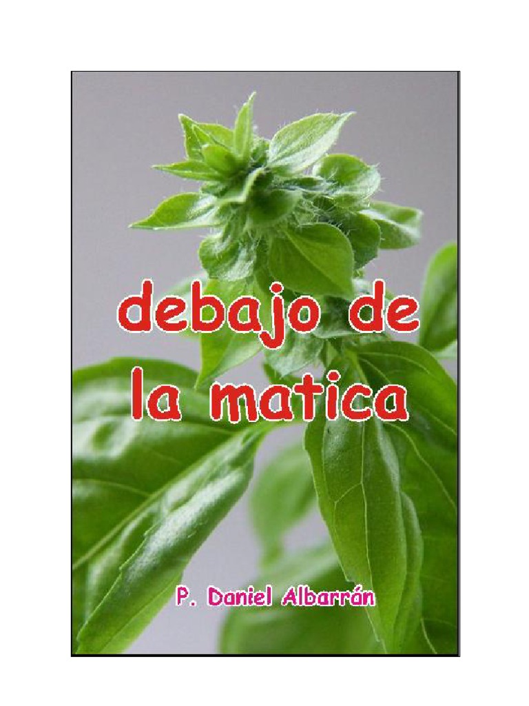Daniel Albarrán, Debajo de La Matica (Novela) | PDF | El Holocausto | Antisemitismo