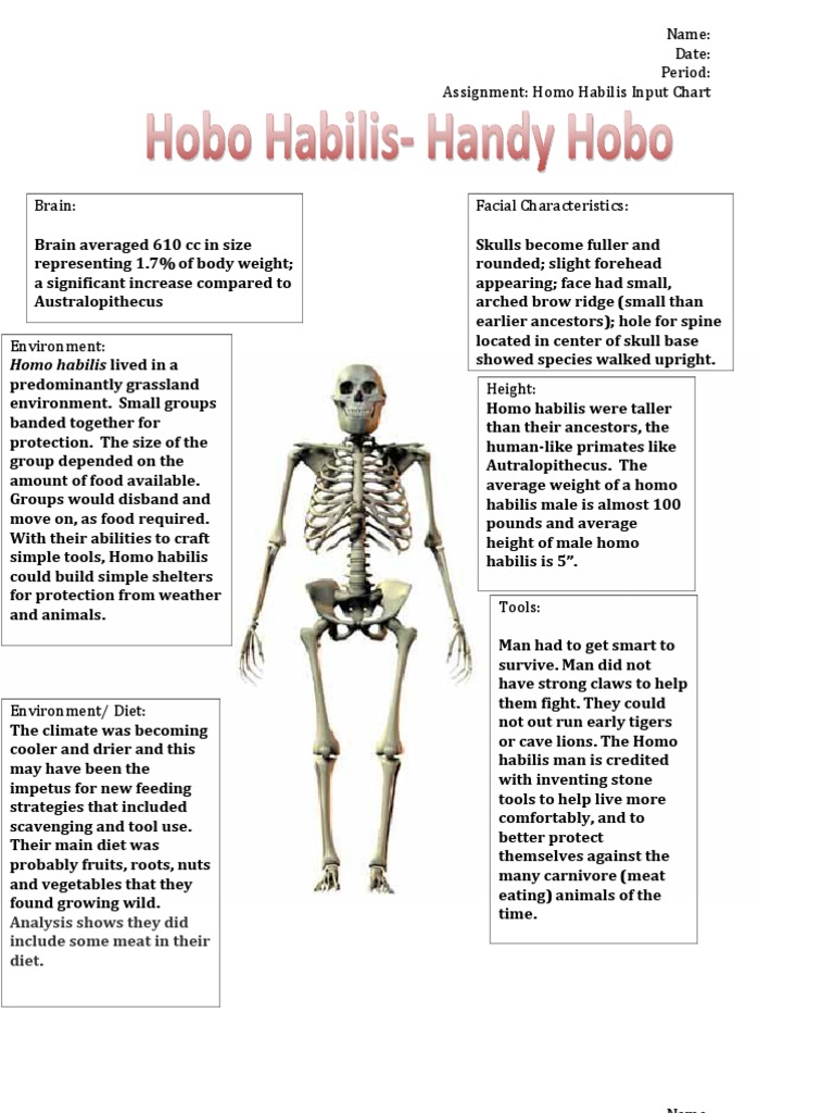 Master Hobo Habilis Detailed Input2 | PDF | Homo | Pliocene