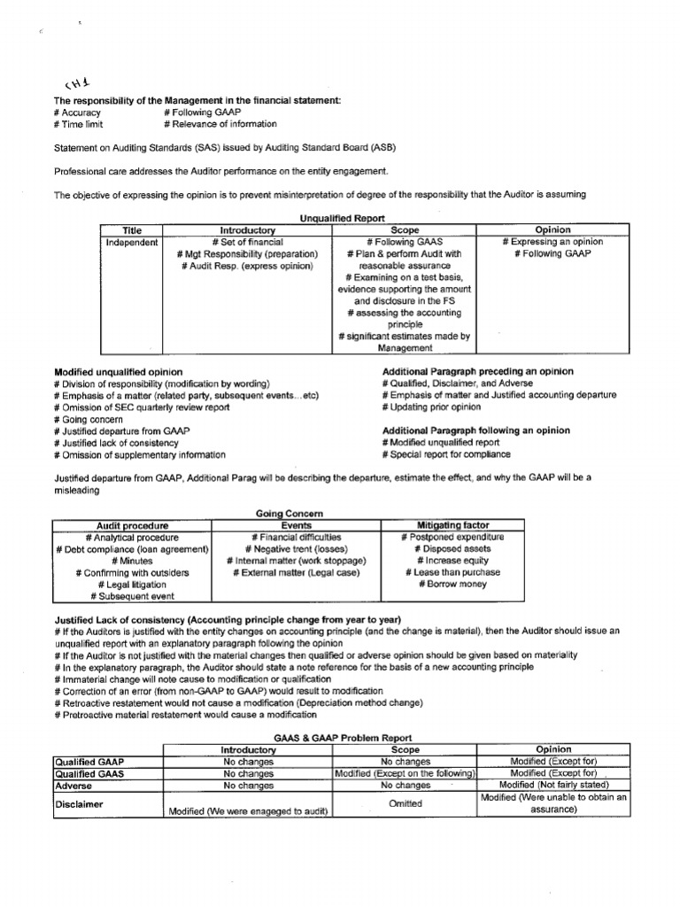 Audit Notes Chapters 1 3 Pdf