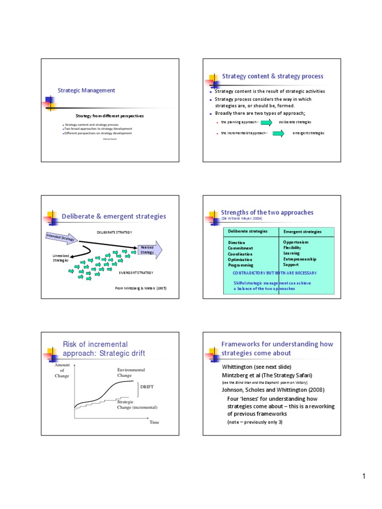 Perspectives on Strategic Management | PDF | Strategic Management ...
