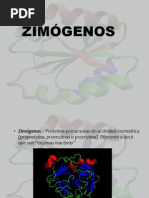 Zimogenos o Proenzimas | PDF | Salud y bienestar