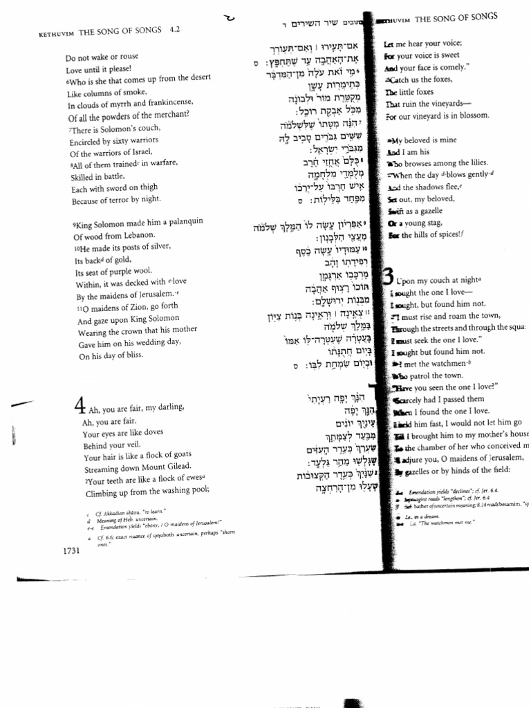Rav Shagar's Yom Haatzmaut For Our Generation: Solomon's Palanquin of ...