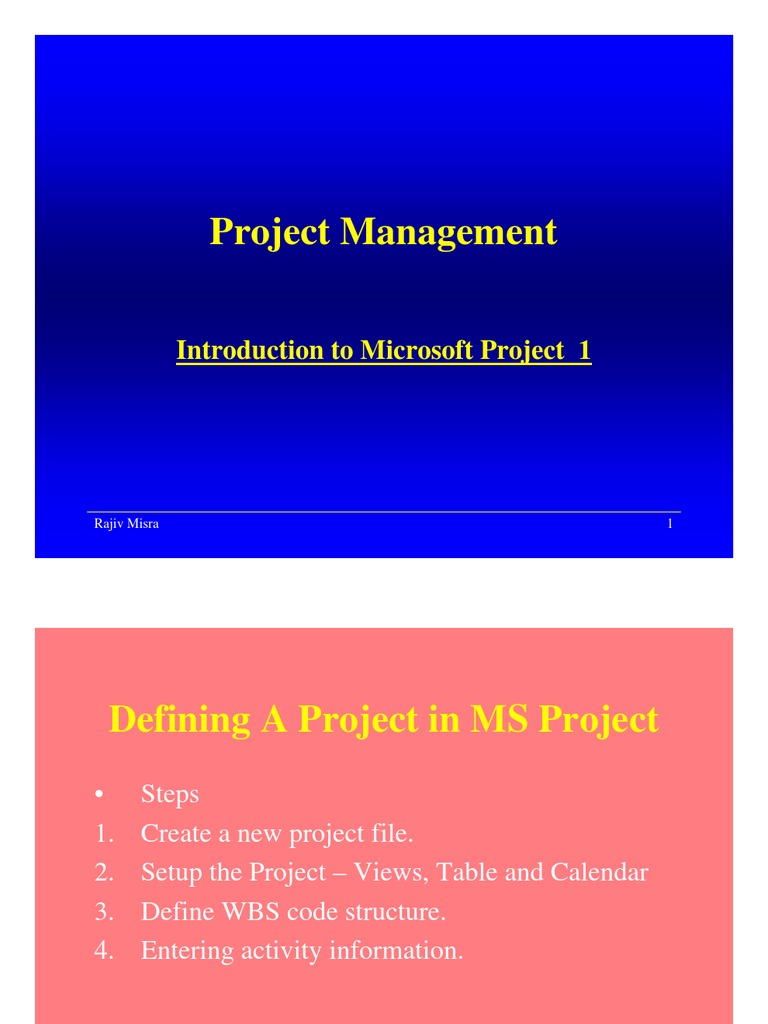 Microsoft Project Guide: Setup & Management | PDF | Product Development ...
