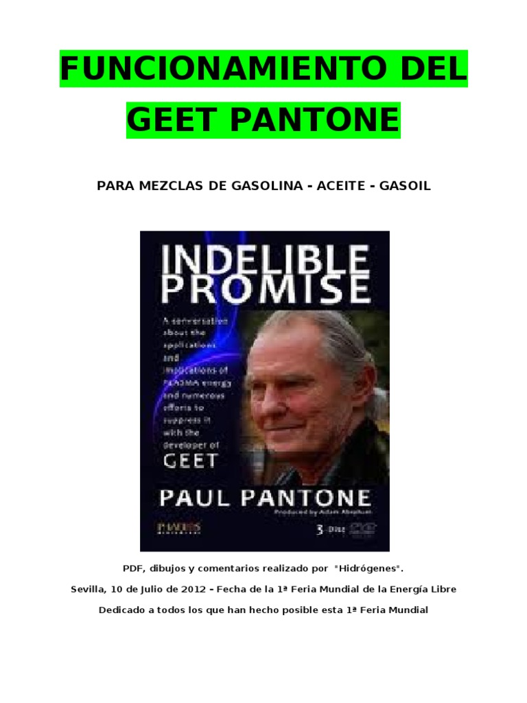 Geet Pantone - Funcionamiento Básico | PDF | Combustibles | Gasolina