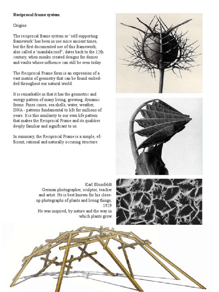 Reciprocal Frame | Download Free PDF | Framing (Construction) | Dome