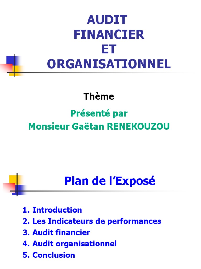 Audit Financier Et Organisationnel | Ratio financier | Audit