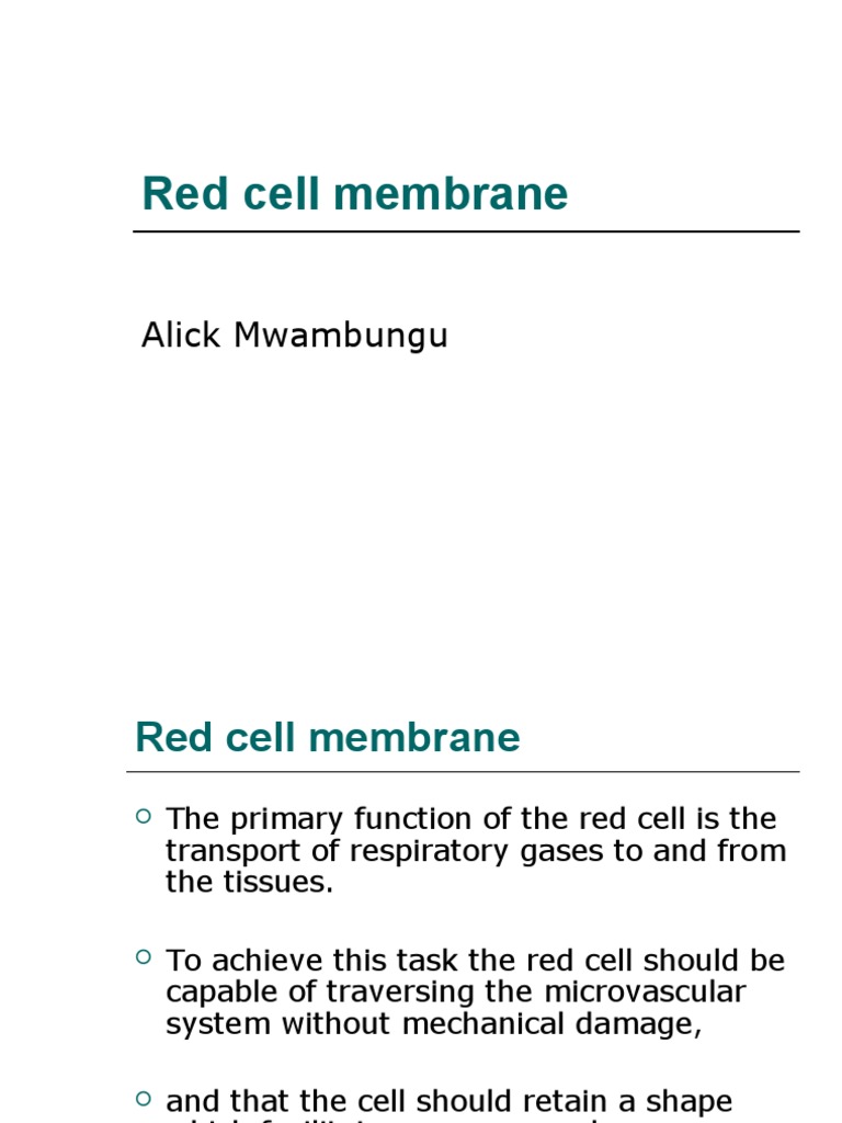 RBC Membrane | PDF | Cell Membrane | Phospholipid