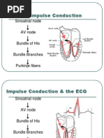 ICU One Pager External Pacemakers v11 | PDF | Artificial Cardiac ...