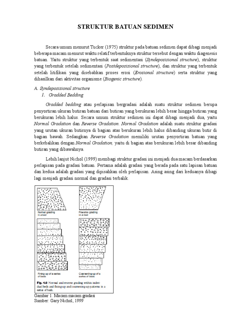 Struktur Sedimen PDF | PDF