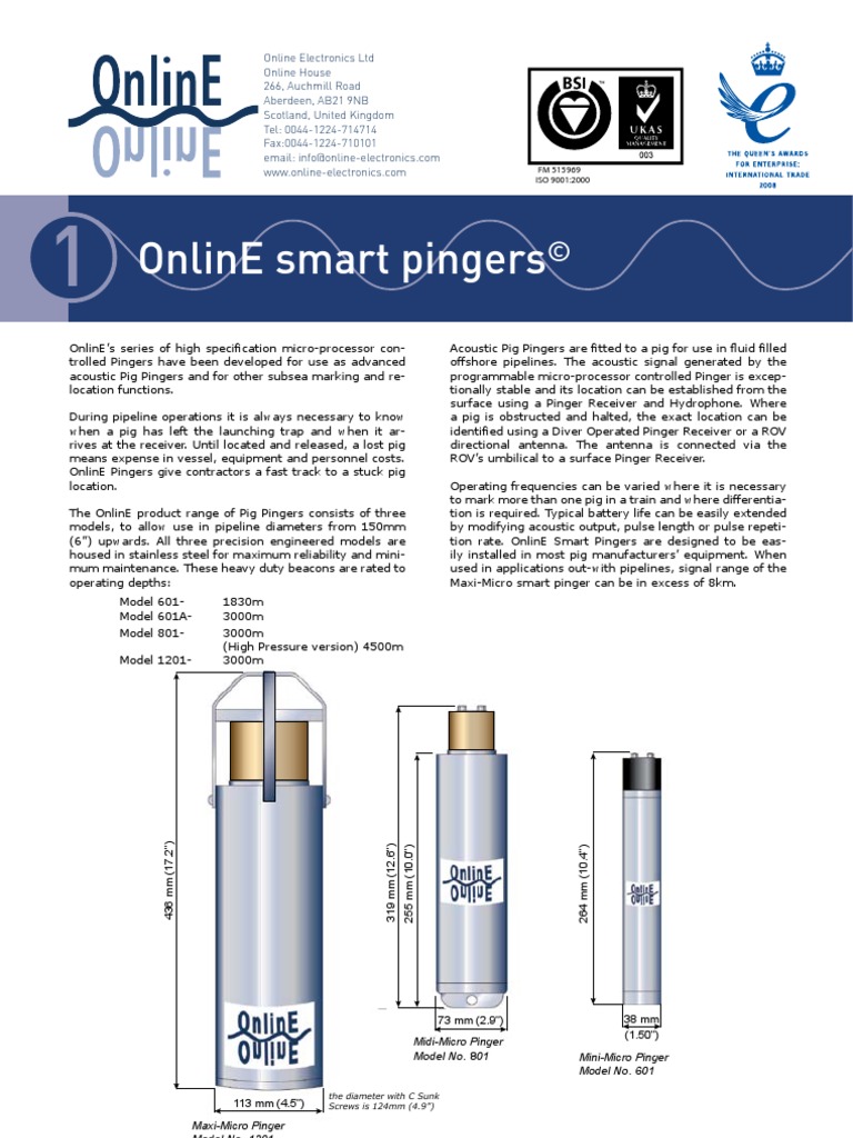 OnlinE Smart Pingers | PDF | Battery (Electricity) | Pipeline Transport