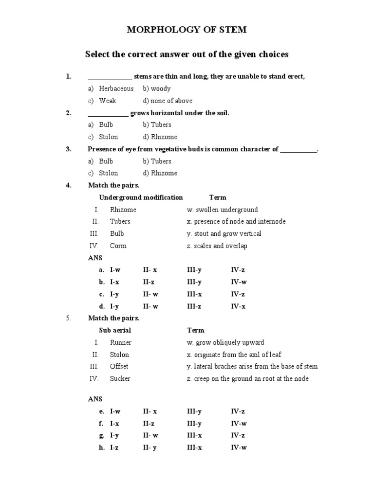 MCQ From Stem | PDF | Plant Stem | Bulb