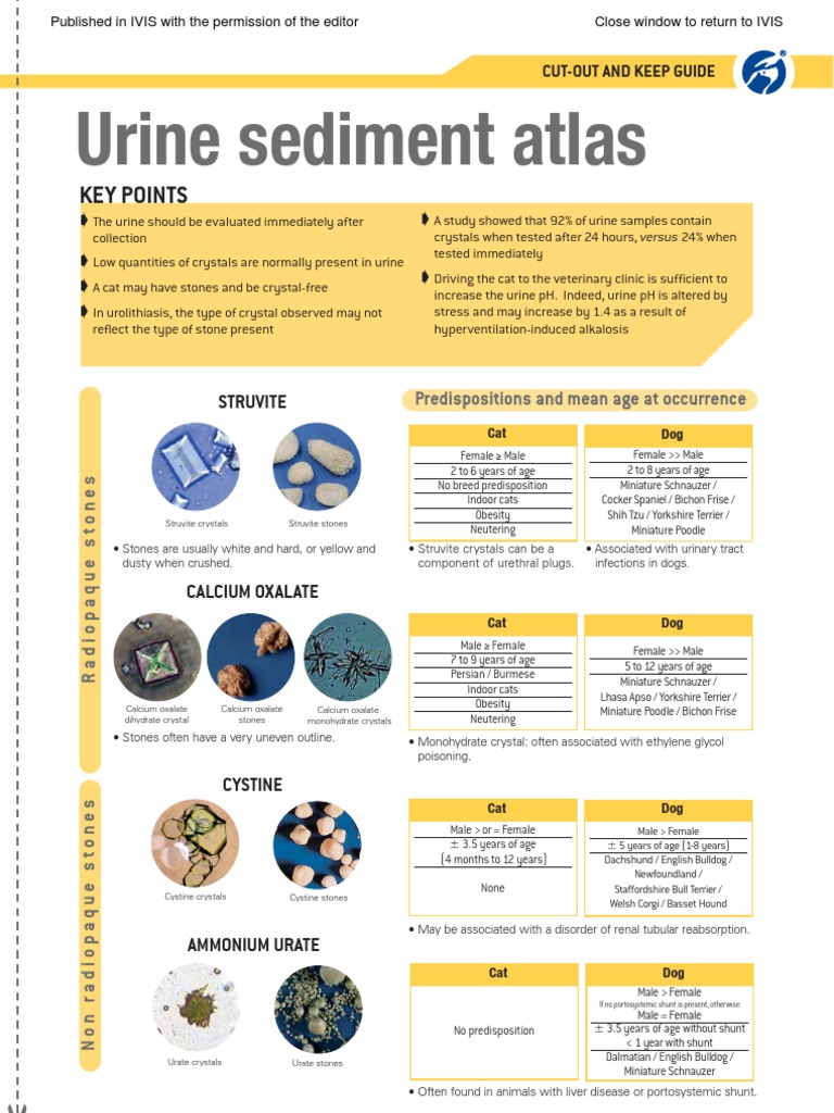 Atlas Sediment Urinar | Medical Specialties | Clinical Medicine