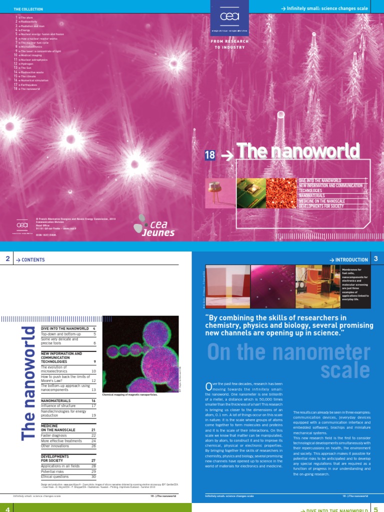 Cea Lp18-Nanoworld GB PDF | PDF | Nanomaterials | Nanotechnology
