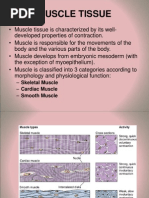 The Structure of Skeletal Muscle (6.3.2) AQA A Level Biology Revision ...