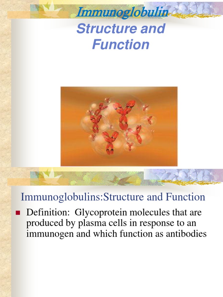 Ig Structuer and Functions | PDF | Antibody | Immunoglobulin G