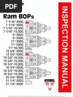 Well Control - Api RP 53 | PDF