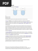 Fiola de Laboratorio | PDF | Laboratorios | Lentes