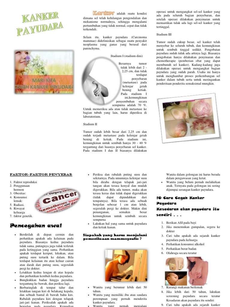 Leaflet CA Mamae | PDF