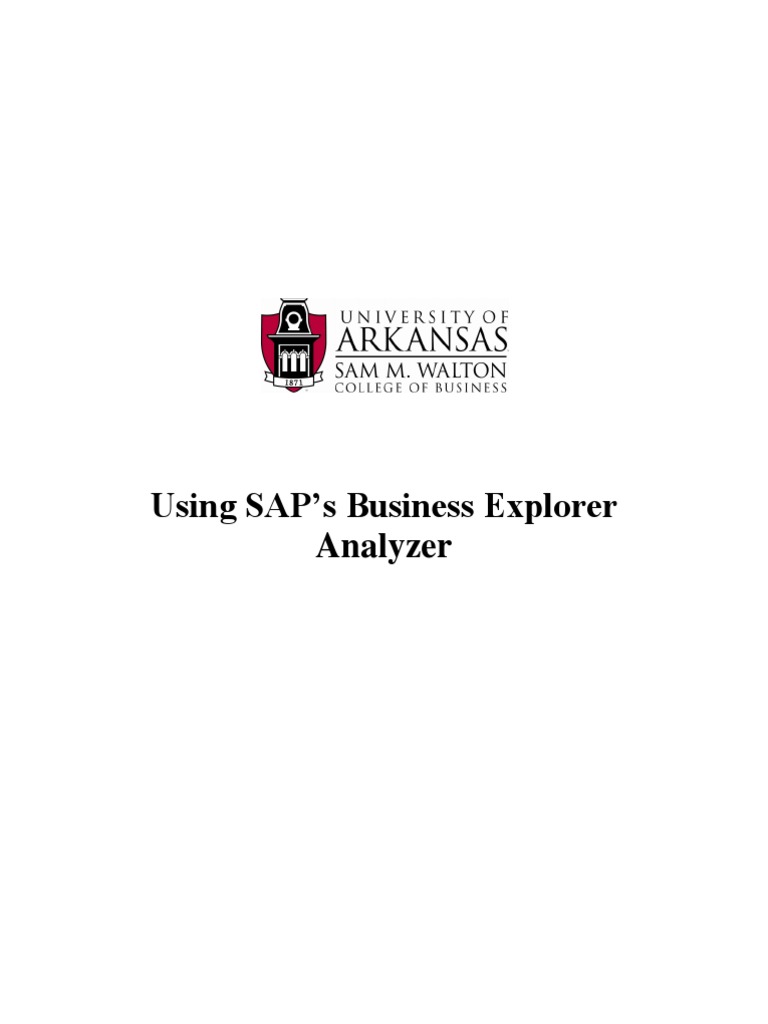 SAP BEx Analyzer Guide for Analysts | PDF | Microsoft Excel | Spreadsheet