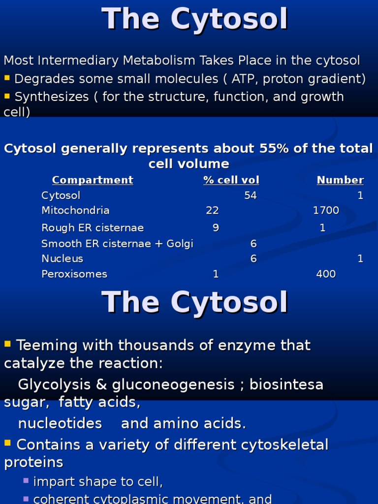 Cytosol-1.ppt | Messenger Rna | Ribosome