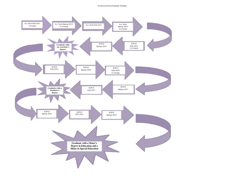 Professional Development Timeline Overview | PDF | Career & Growth