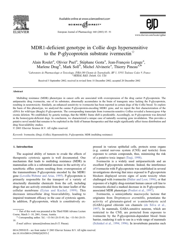 MDR1-deficient Genotype in Collie Dogs Hypersensitive To The P ...