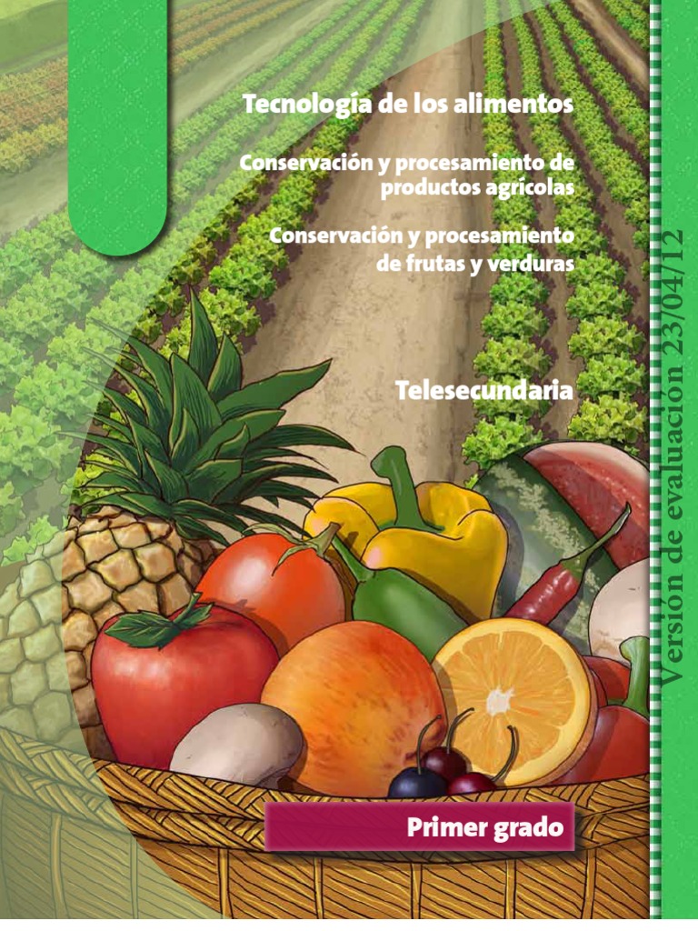 Tecnología (Alimentos) | PDF | Alimentos | Planificación