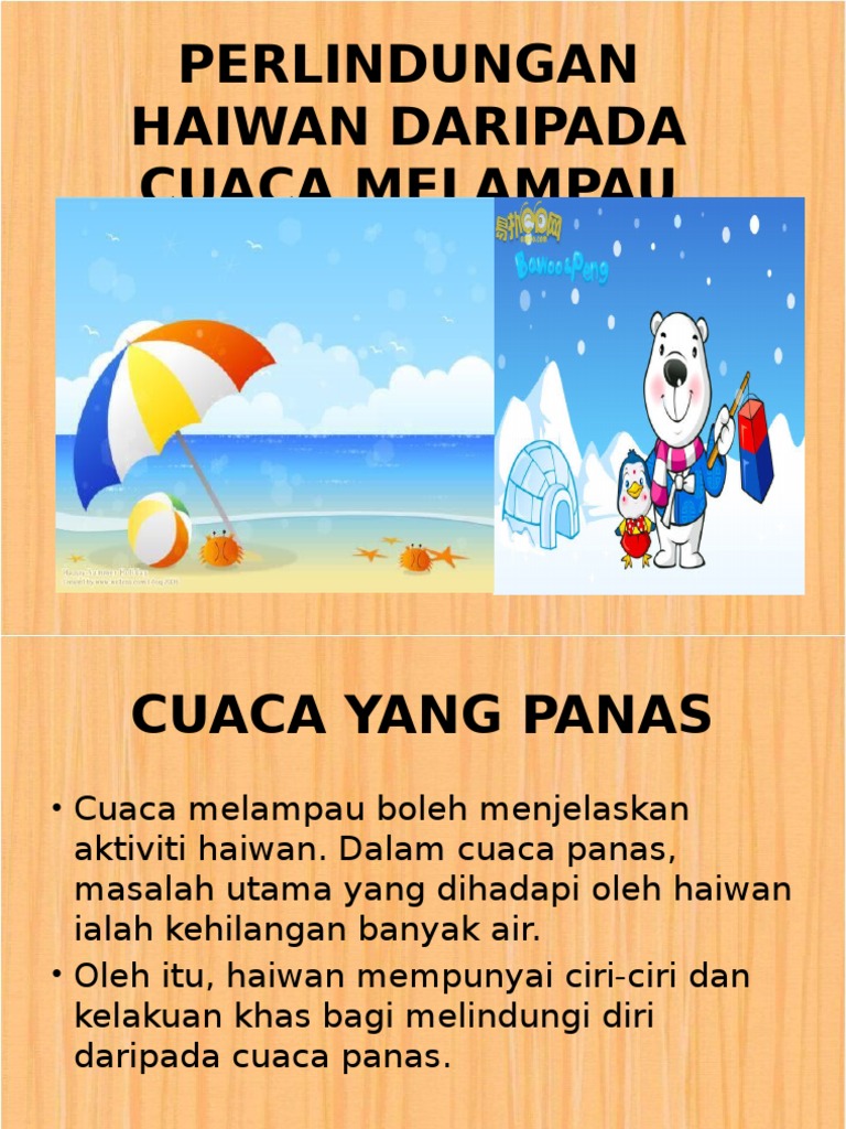 Haiwan - Cuaca Melampau | PDF