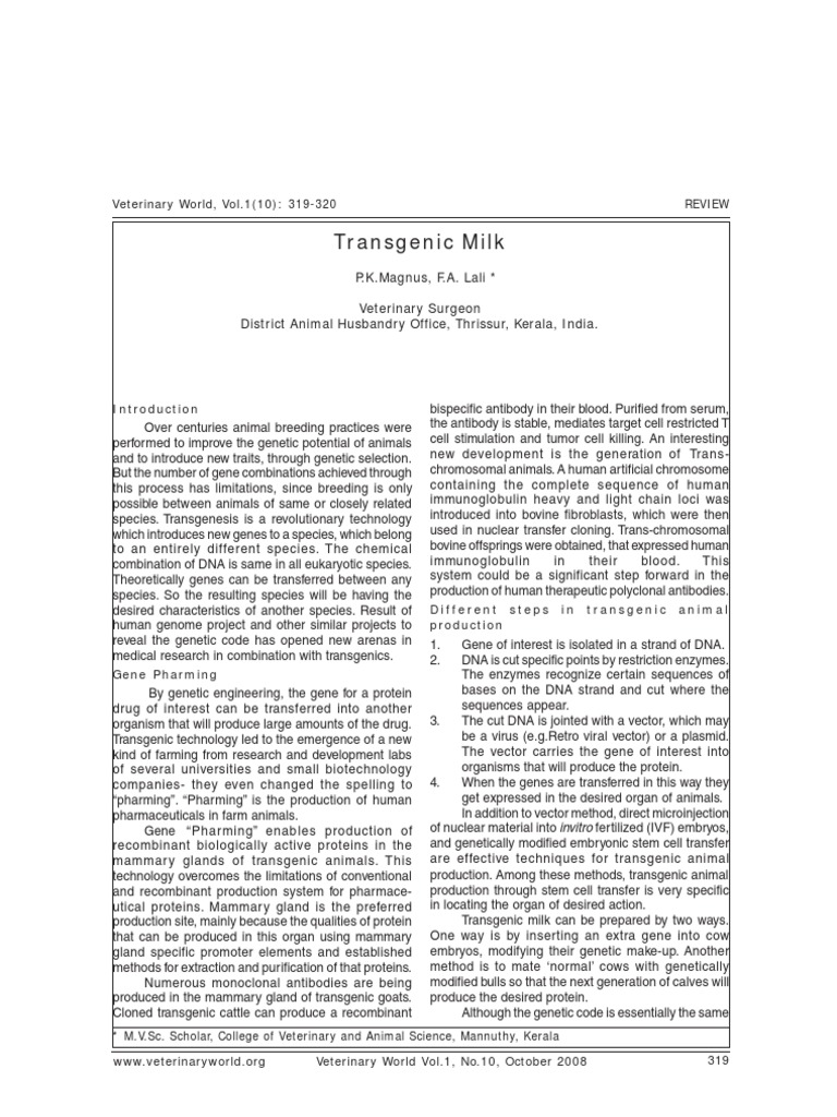 Transgenic Milk | PDF | Transgene | Genetically Modified Organism