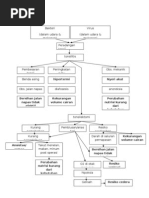 Pathways Tonsilitis | PDF