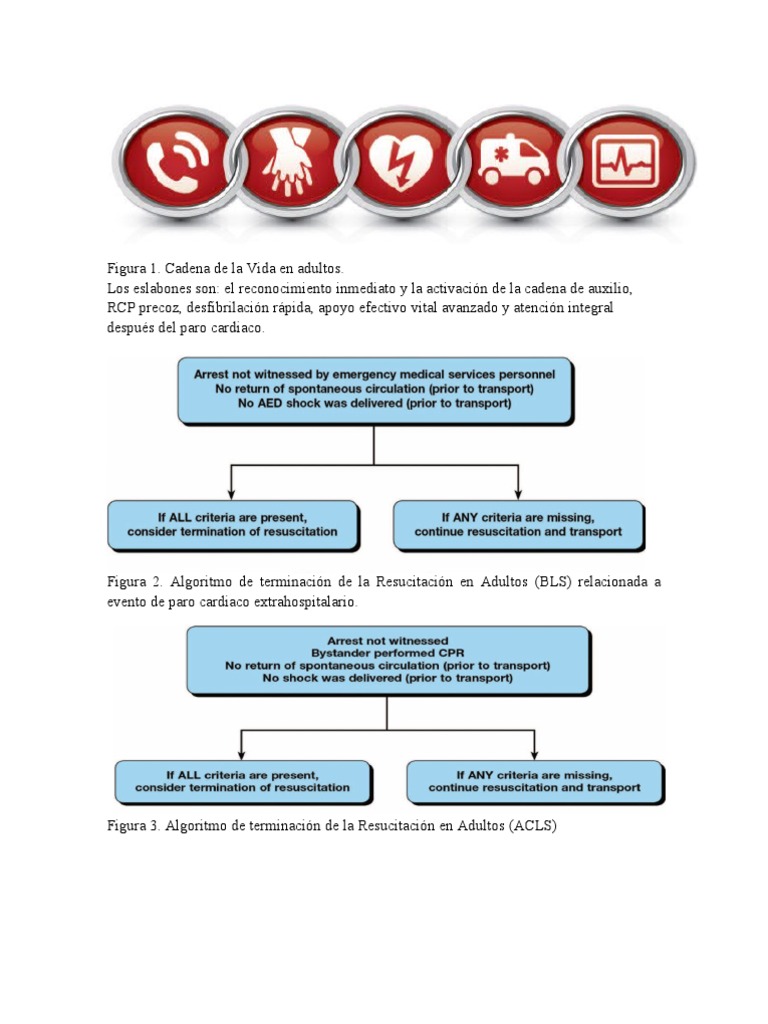 Algoritmos BLS y ACLS para Paro Cardiaco | PDF
