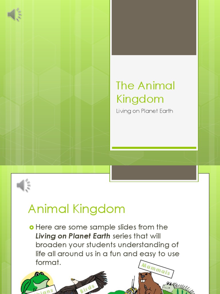 The Animal Kingdom: Living On Planet Earth | PDF | Predation | Reptile