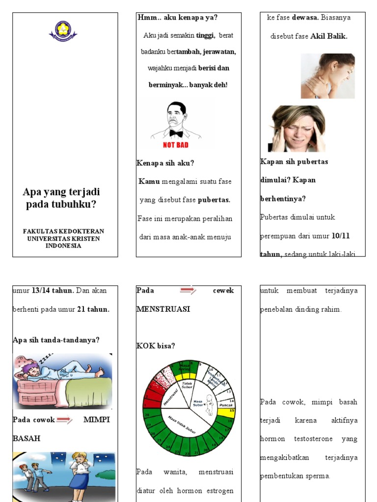 Leaflet Pubertas | PDF | Kesehatan Holistik
