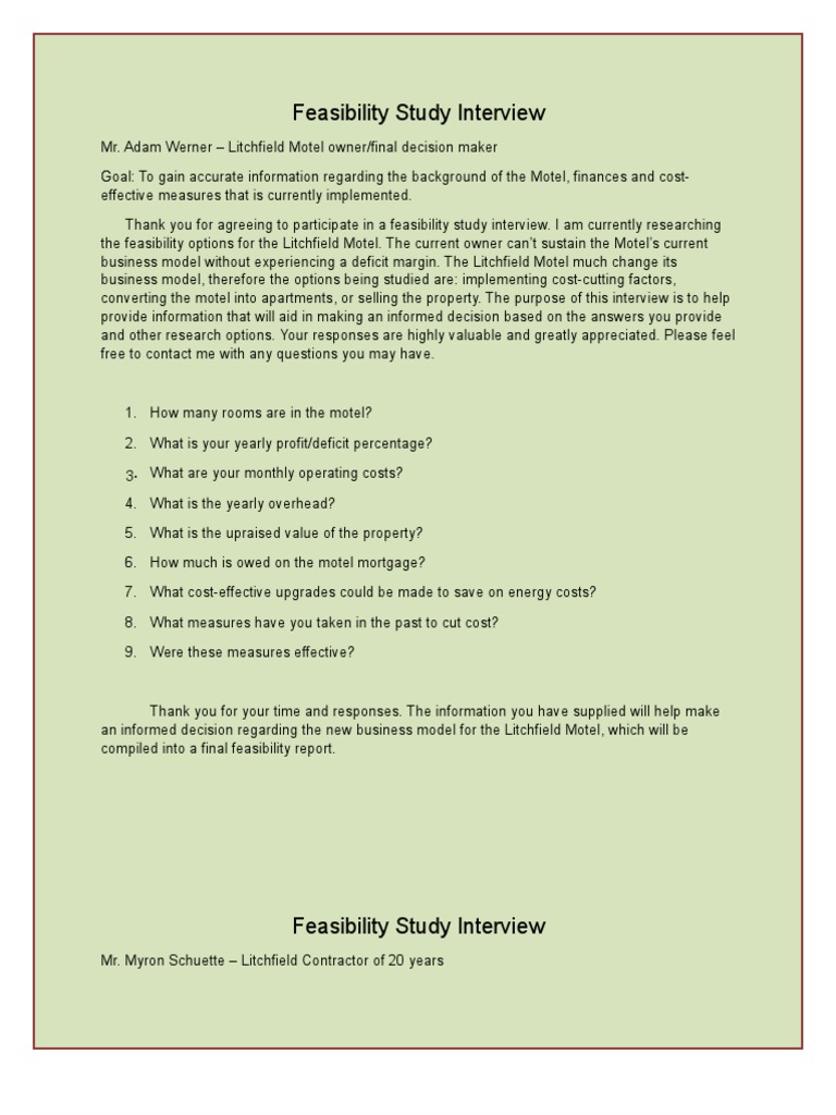 Feasibility Interviews | PDF | Business Model | Feasibility Study